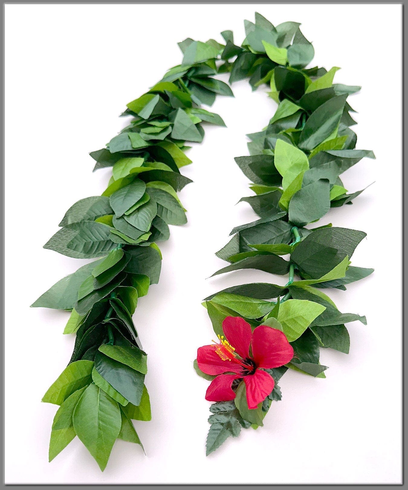 Deluxe Maile Lei 60 Inch Open Premium – Shaka Time Hawaii